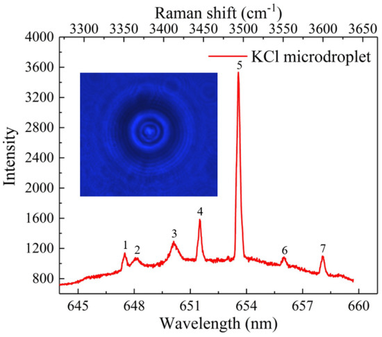 Controllable Formation and Real-Time Characterization of Single ...