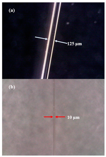 Adaptive Fiber-Ring Lasers Based on Isopropanol Filled Microfiber Coupler for High-Sensitivity ...