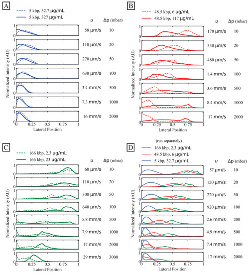 High-Throughput Separation of Long DNA in Deterministic Lateral Displacement Arrays