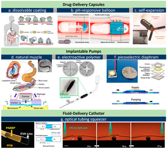 Actuators for Implantable Devices: A Broad View