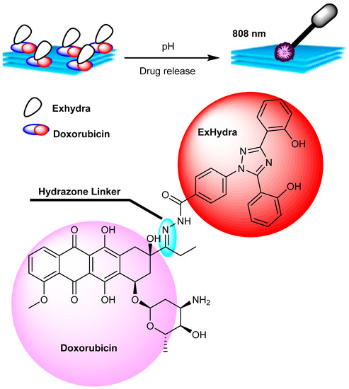 Advanced MXene-Based Micro- and Nanosystems for Targeted Drug Delivery ...