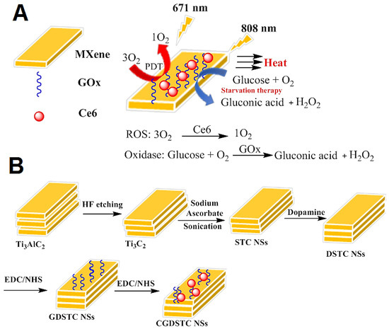 Advanced MXene-Based Micro- and Nanosystems for Targeted Drug Delivery ...
