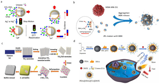 Applications of Nano/Micromotors for Treatment and Diagnosis in ...