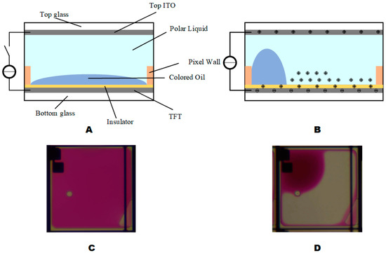 Dynamic Adaptive Display System for Electrowetting Displays Based on ...
