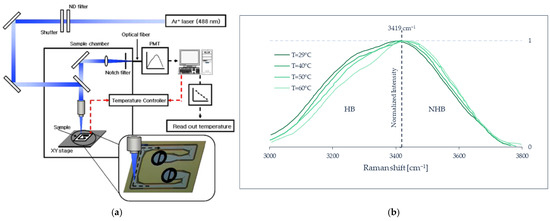 Review of Optical Thermometry Techniques for Flows at the Microscale ...