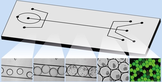 Micromachines | Free Full-Text | A Portable, Negative-Pressure Actuated ...