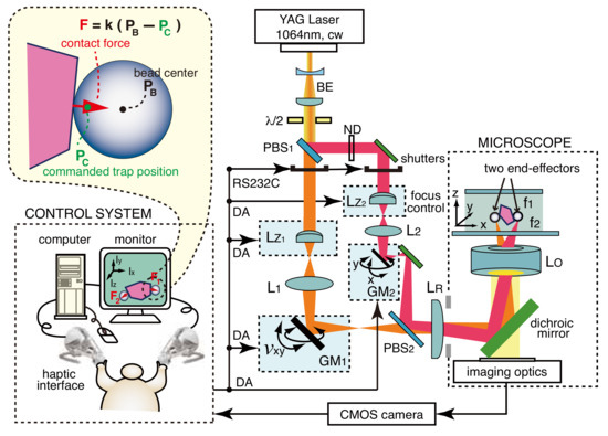 Dual-Arm Visuo-Haptic Optical Tweezers for Bimanual Cooperative Micromanipulation of ...