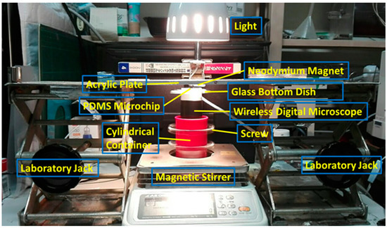 Micromachines | Free Full-Text | Development of a Simple Fabrication ...