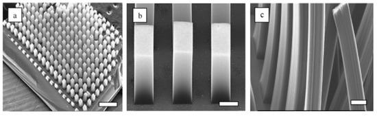 The Relevant Approaches for Aligning Carbon Nanotubes