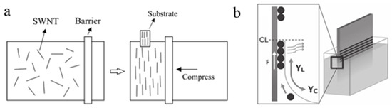 The Relevant Approaches for Aligning Carbon Nanotubes