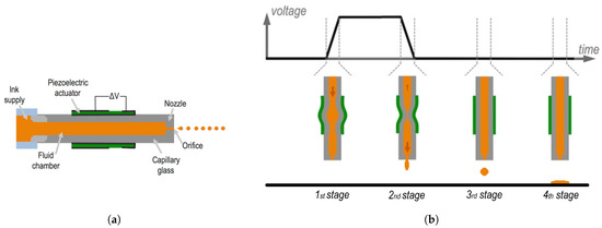 Development of an Inkjet Setup for Printing and Monitoring Microdroplets