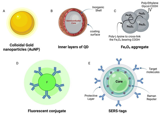 Lateral Flow Immunoassays for Detecting Viral Infectious Antigens and ...