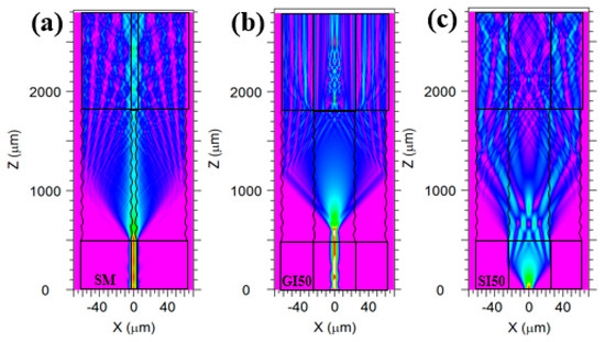 Twisted Fiber Optic SPR Sensor for GDF11 Concentration Detection