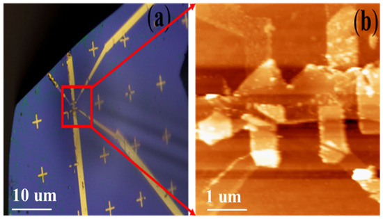 Compact Magnetic Force Microscope (MFM) System in a 12 T Cryogen-Free Superconducting Magnet