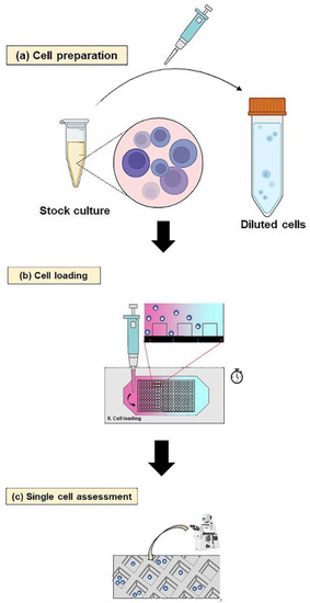 A Bench-Top Approach for Isolation of Single Antibody Producing Chinese ...