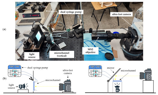 Interface Dynamics and the Influence of Gravity on Droplet Generation ...