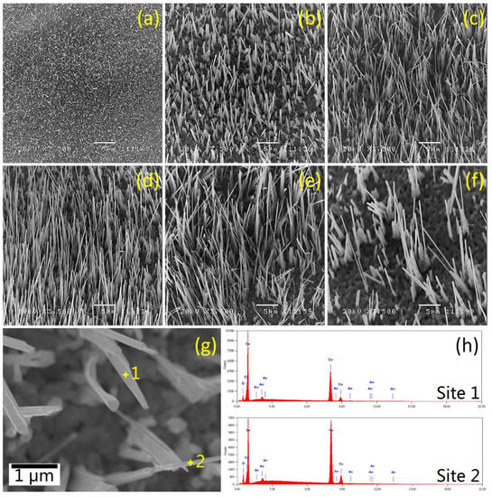 CuO Nanowires Fabricated by Thermal Oxidation of Cu Foils towards ...