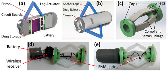 Anchoring Mechanism for Capsule Endoscope: Mechanical Design ...