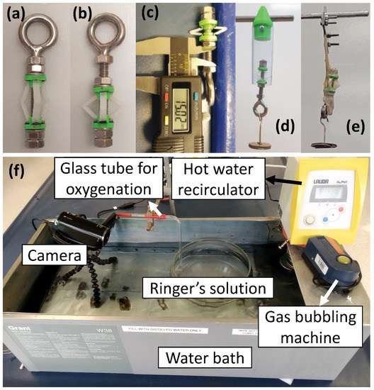 Anchoring Mechanism for Capsule Endoscope: Mechanical Design ...