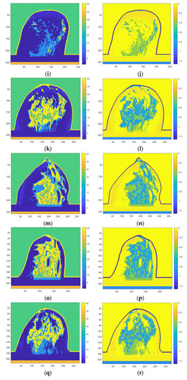 Holographic Microwave Image Classification Using a Convolutional Neural ...