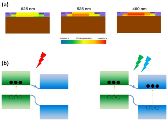 Tunable Gain SnS2/InSe Van der Waals Heterostructure Photodetector