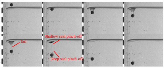 Near-Wall Settling Behavior of a Particle in Stratified Fluids