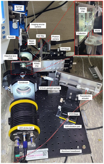 Upgraded User-Friendly Image-Activated Microfluidic Cell Sorter Using ...