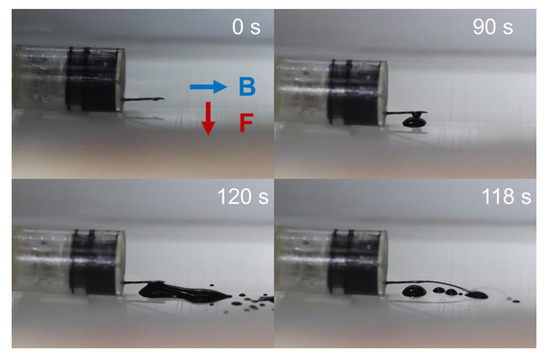 Battery-Free Tattooing Mechanism-Based Functional Active Capsule Endoscopy