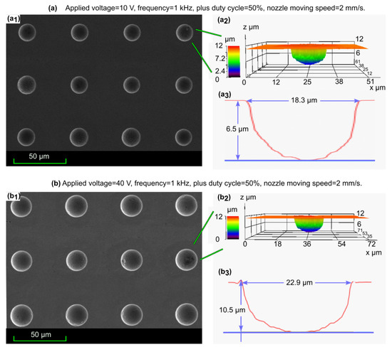 Multi-Ion-Based Modelling and Experimental Investigations on Consistent ...