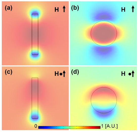 Controlled Transport of Magnetic Particles and Cells Using C-Shaped ...