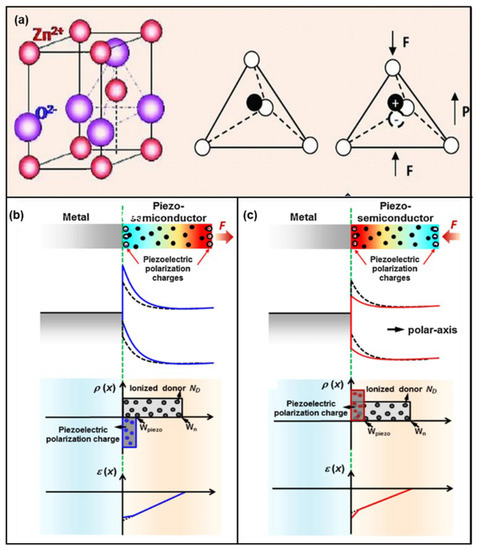 Fundamentals and Applications of ZnO-Nanowire-Based Piezotronics and ...