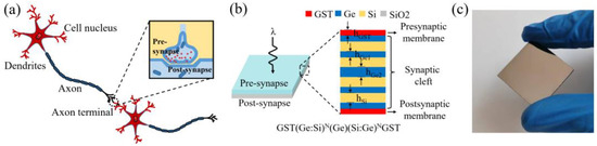 On-Chip Photonic Synapses with All-Optical Memory and Neural Network Computation