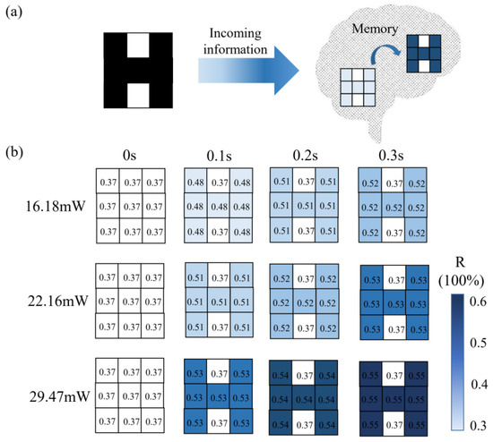 On-Chip Photonic Synapses with All-Optical Memory and Neural Network ...
