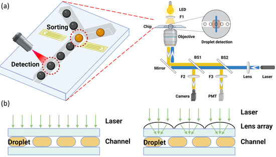Droplet Detection and Sorting System in Microfluidics: A Review