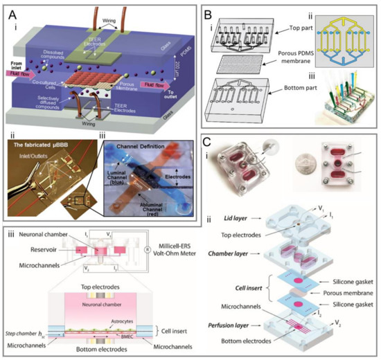 Advances in BBB on Chip and Application for Studying Reversible Opening ...