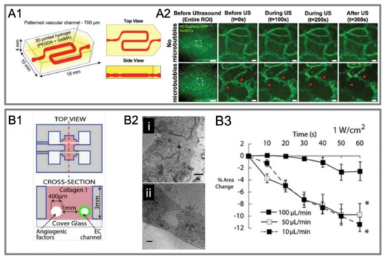 Advances in BBB on Chip and Application for Studying Reversible Opening ...
