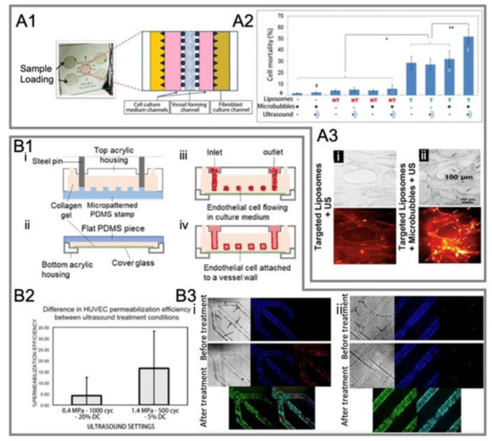 Advances in BBB on Chip and Application for Studying Reversible Opening ...