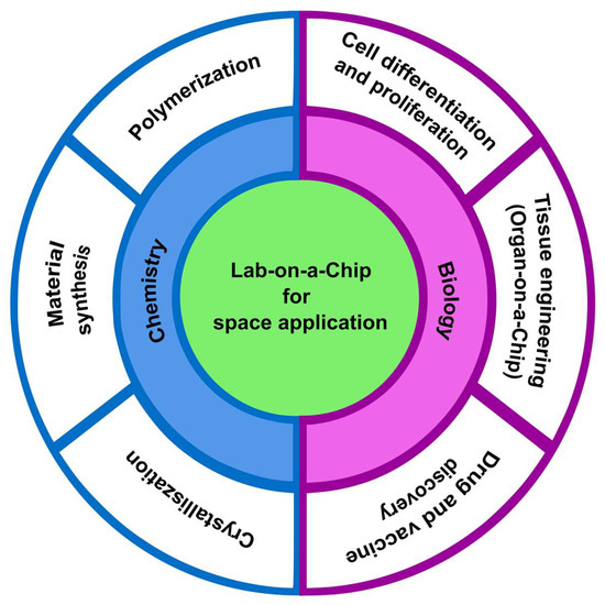 Lab-on-a-Chip Technologies for Microgravity Simulation and Space ...