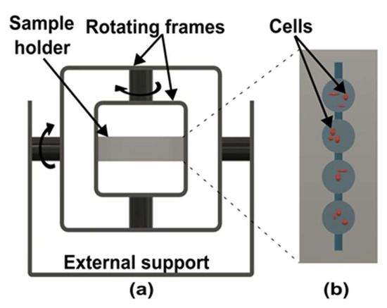 Lab-on-a-Chip Technologies for Microgravity Simulation and Space Applications