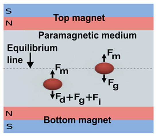Lab-on-a-Chip Technologies for Microgravity Simulation and Space Applications