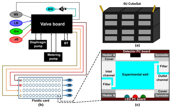 Lab-on-a-Chip Technologies for Microgravity Simulation and Space Applications