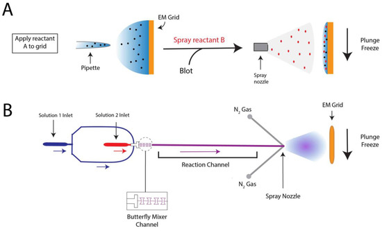 Exploring the Structural Variability of Dynamic Biological Complexes by Single-Particle Cryo ...