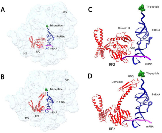 Exploring the Structural Variability of Dynamic Biological Complexes by Single-Particle Cryo ...