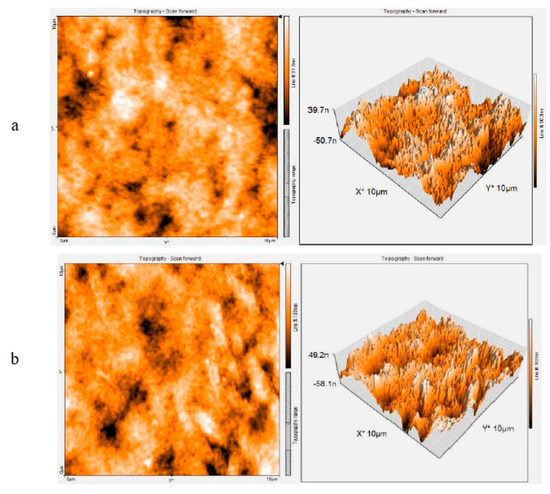 Membrane Surface Modification via In Situ Grafting of GO/Pt ...