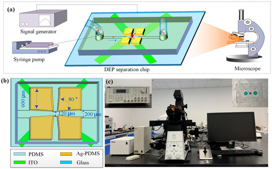 Trapping of a Single Microparticle Using AC Dielectrophoresis Forces in ...