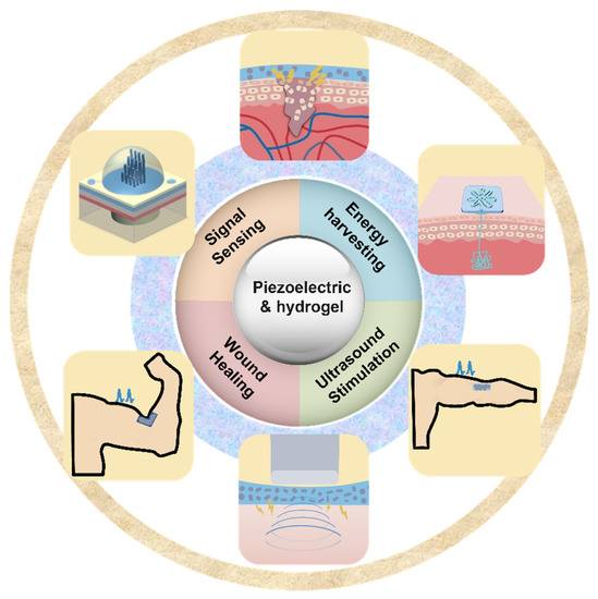 Recent Progress on Hydrogel-Based Piezoelectric Devices for Biomedical ...