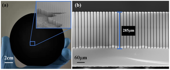 Wafer-Scale Fabrication of Ultra-High Aspect Ratio, Microscale Silicon ...