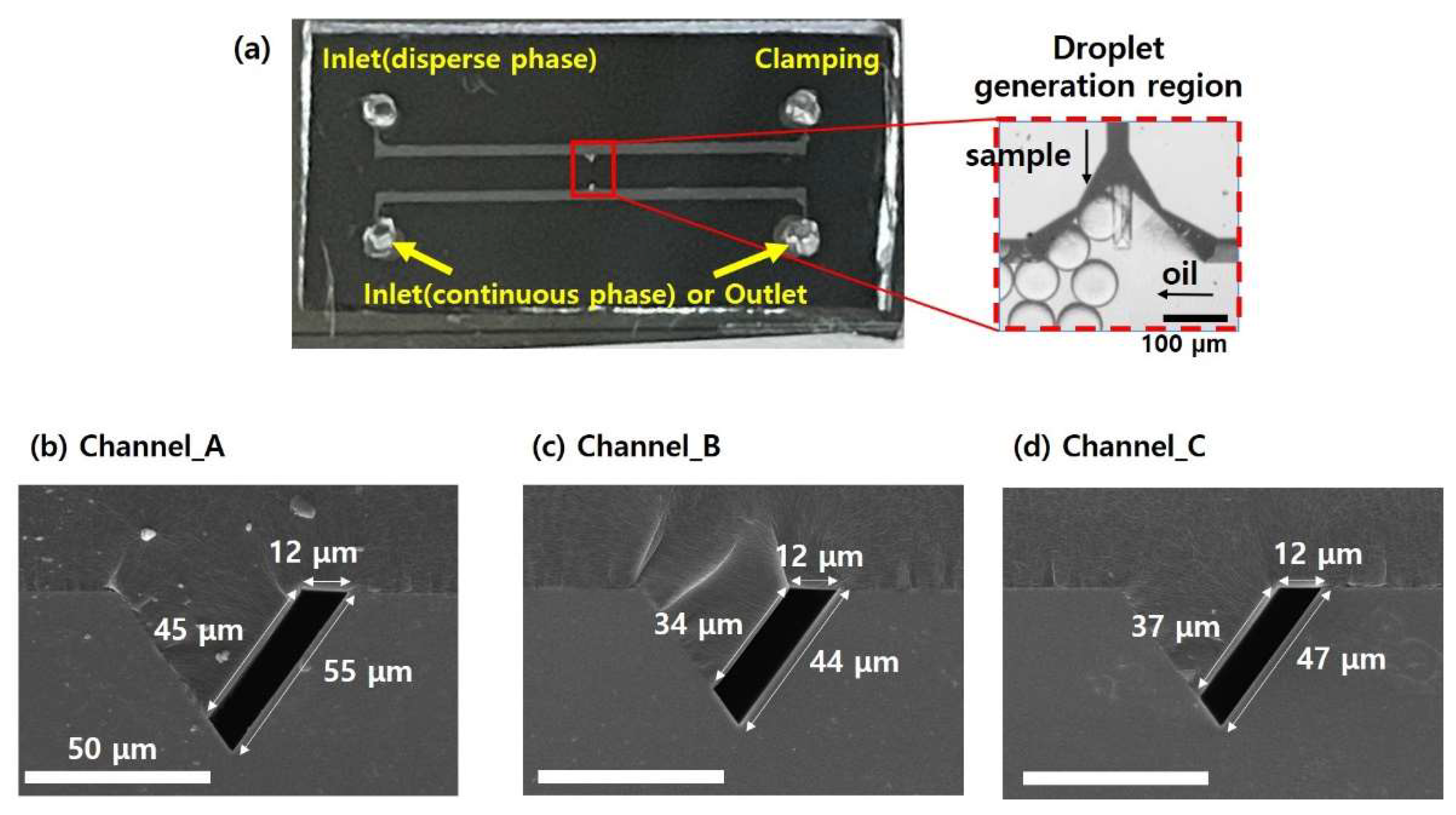 Monodisperse Micro-Droplet Generation in Microfluidic Channel with ...