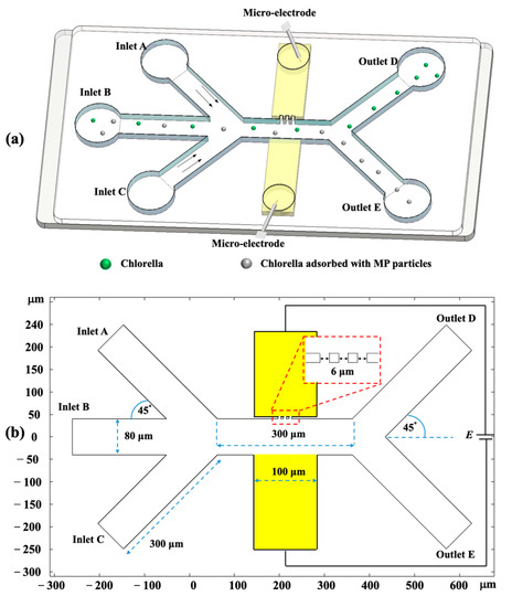 DC-Dielectrophoretic Manipulation and Isolation of Microplastic ...