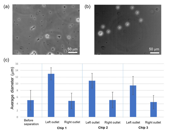 Blood Cell Separation Using Polypropylene-Based Microfluidic Devices Based on Deterministic ...